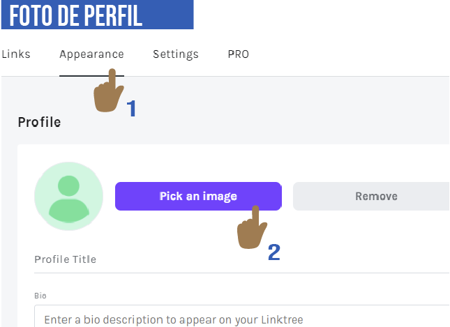 Como colocar link no seu perfil do Instagram? - Sebrae